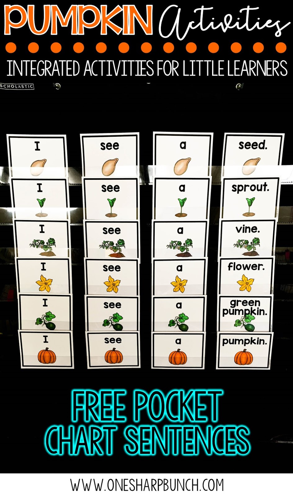 Pumpkin Life Cycle Activities - One Sharp Bunch