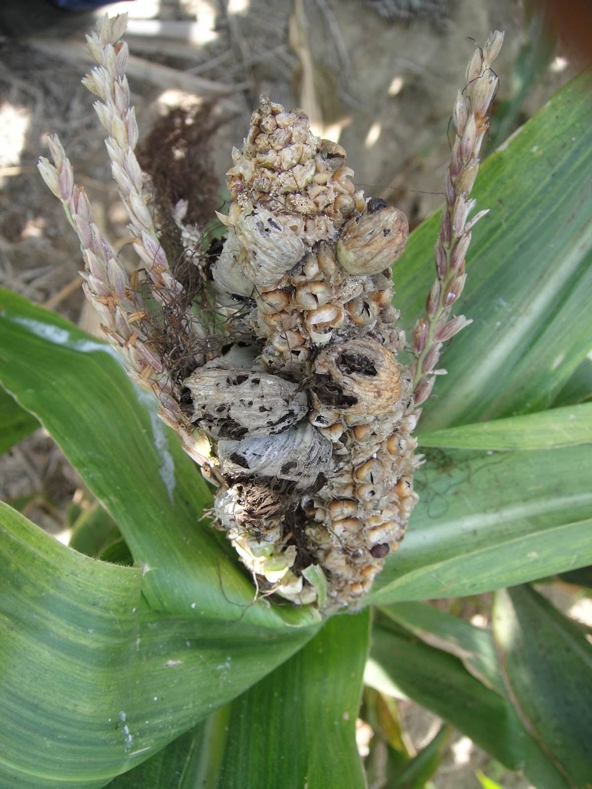 Trabajos de investigacion