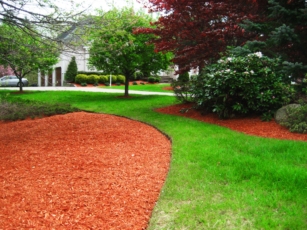 Betta Grower Fertilizers Pty Ltd: A Few Different Types of Garden ...