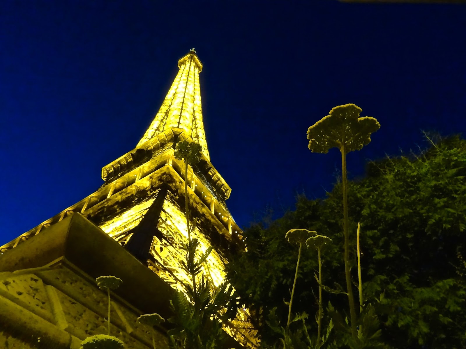 Atrapados por la Imagen: Un a vista de la Torre Eifhel desde una ...