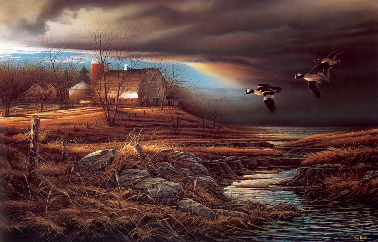 D.W.C. Birds - Terry Redlin - DANCE WITH COLORS