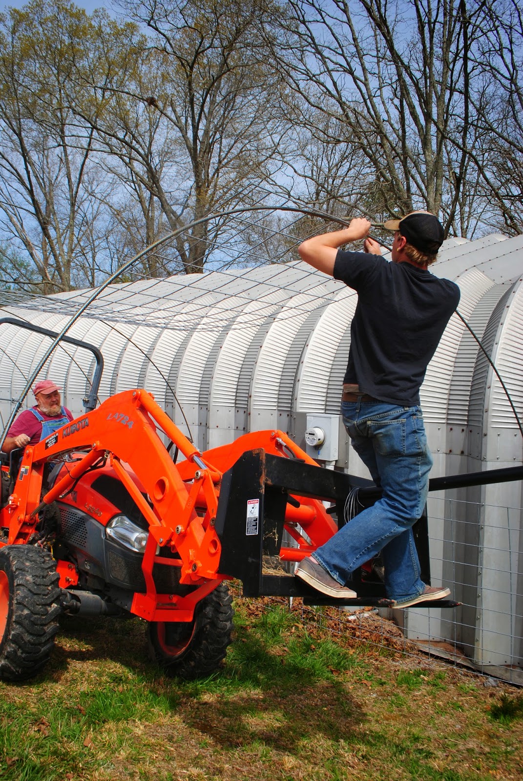 Adventures on Zephyr Hill Farm: DIY Rebar Grape Arbor