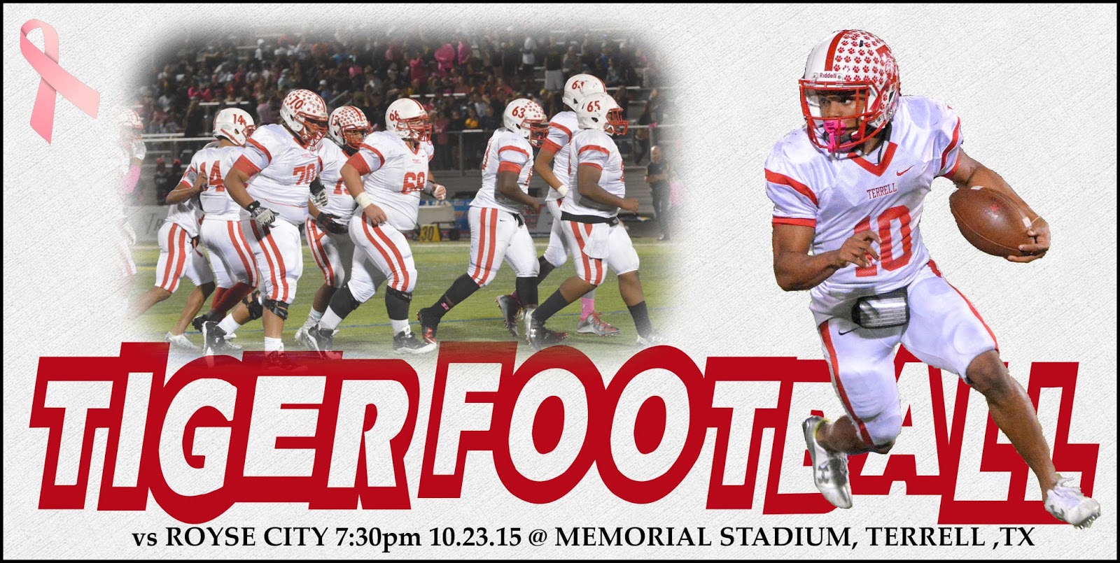 Terrell Daily Photo: Terrell Tiger game day