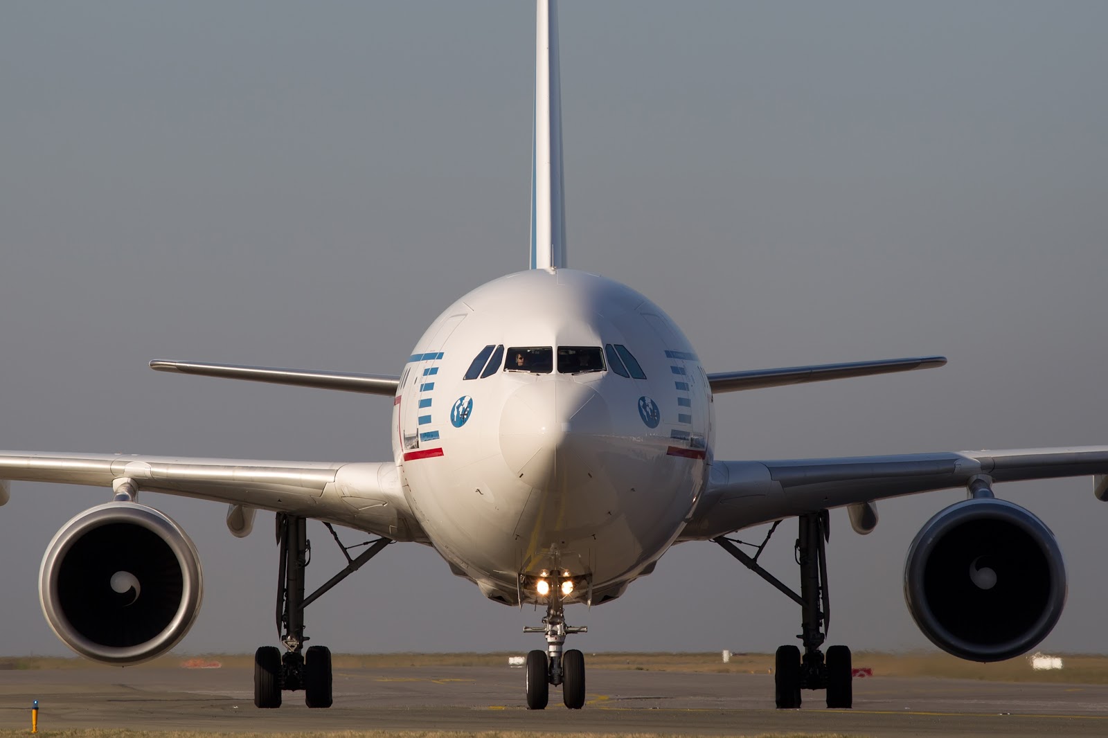 planepictures: Airbus A310