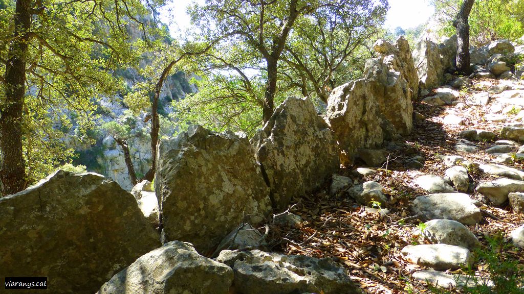 Viaranys: Forat de Can Bajoca a la serra Mitjana