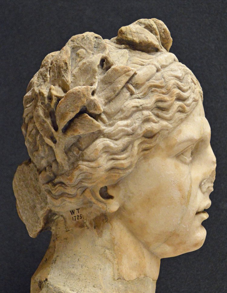 Spencer Alley: Statues and Carvings of Apollo, Ancient and Modern