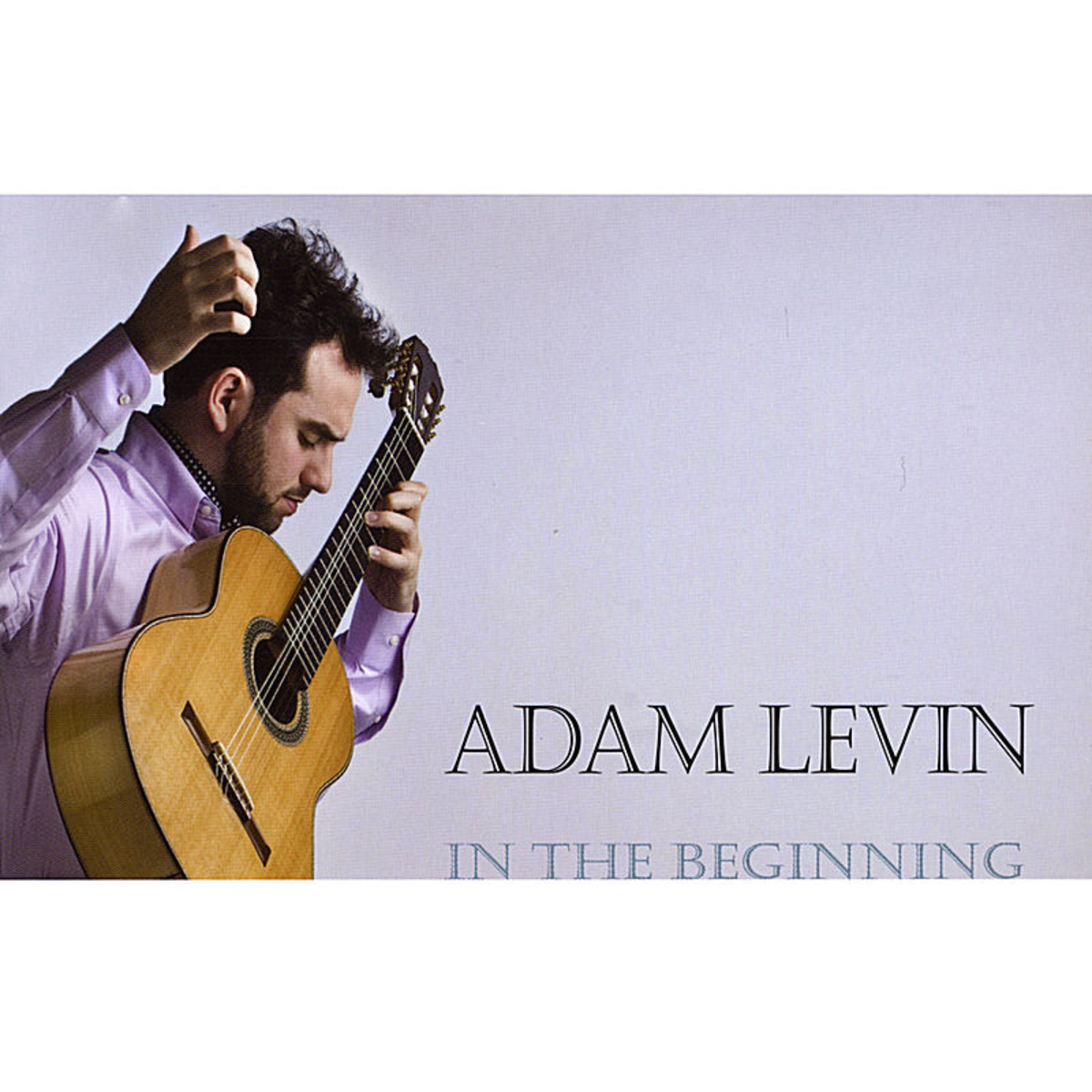In the Beginning - Adam Levin [FLAC]