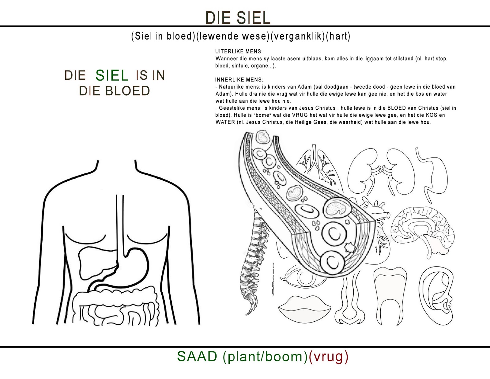 WareChristene Dagstukkies: Liggaam, siel en gees