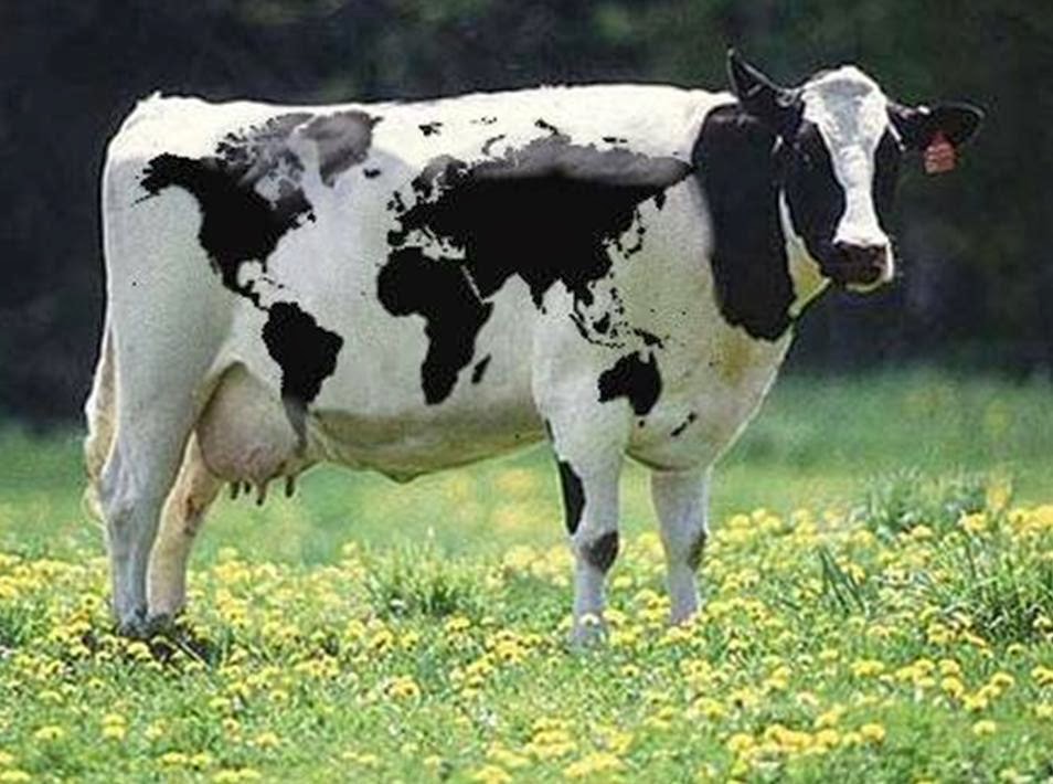 Maestros innovadores : febrero 2014