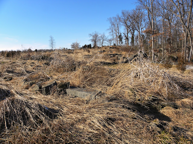 THEIR STORIES: The Timbers Farm