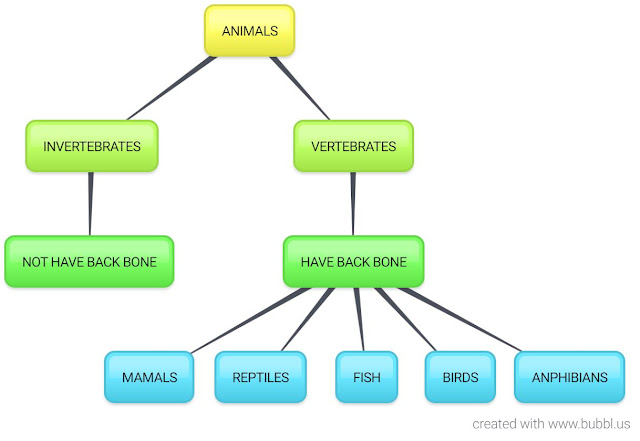 EL BLOG DE MI CLASE: ANIMALS MIND MAP