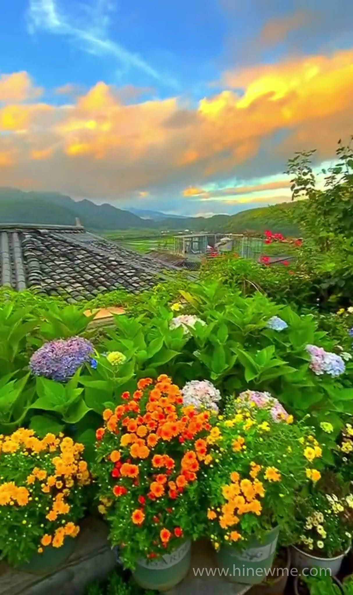 28 flower landscape photograph pictures, 6Flowers photography skill ...