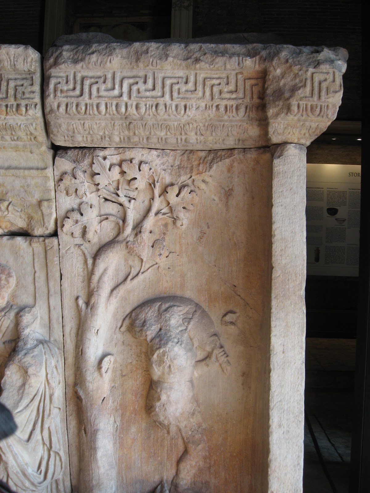 A day in the life.....: March 26 - Euro trip day 3: The Roman Forum