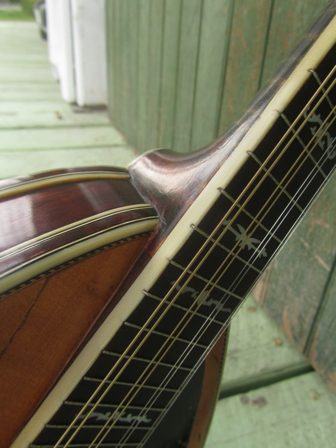 c.1915 Weymann Style 50 Mandolute Mandolin