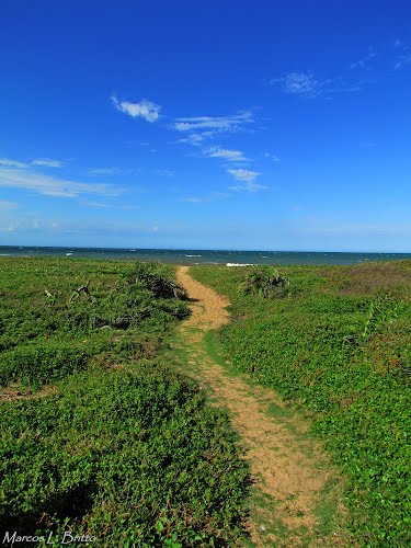 cabofrionews: UNAMAR