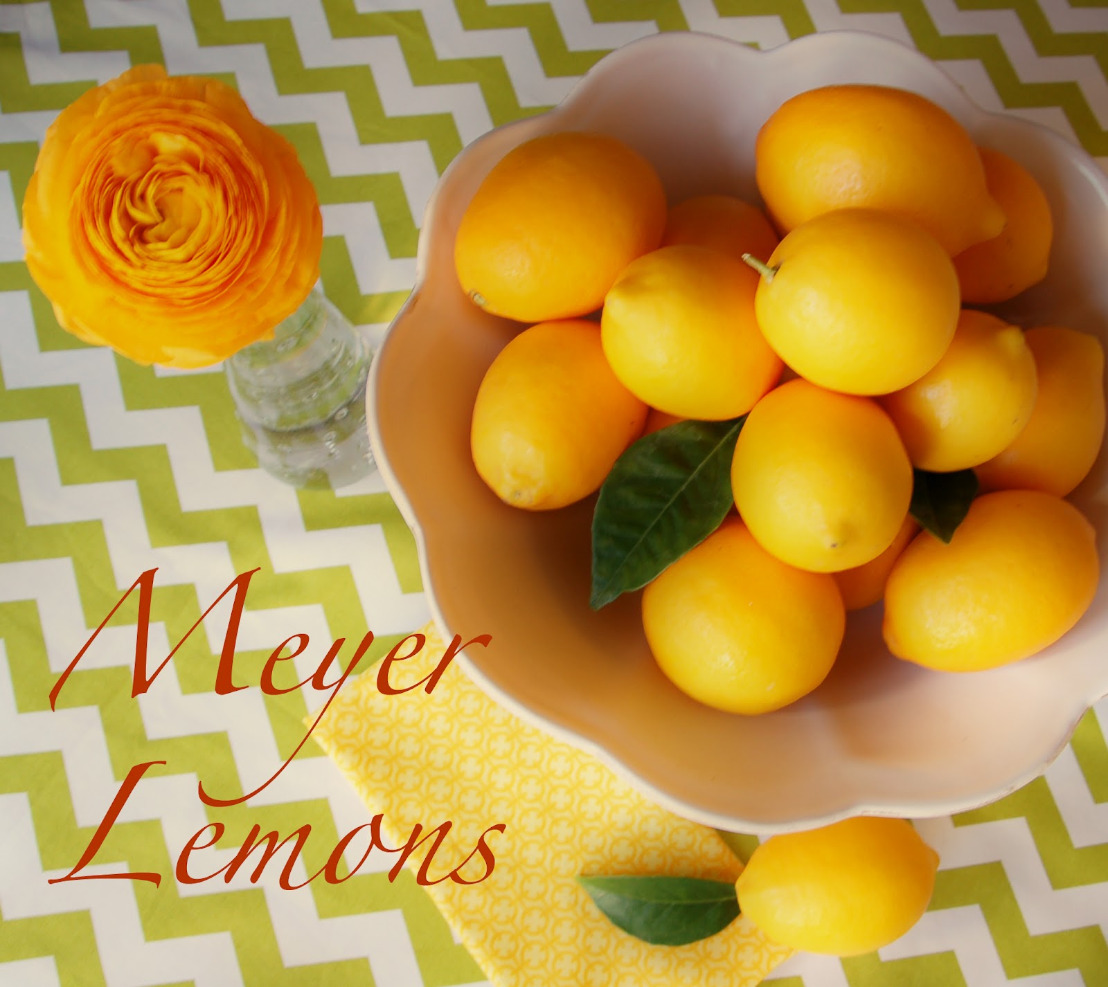 Show + Tell: LEMON LOVE