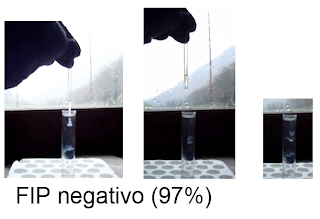 Combatiendo la PIF y otras penurias: El económico y rápido test de ...