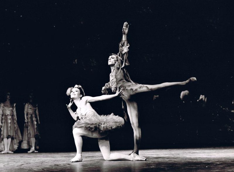 Dutch National Ballet: 47 Pictures That Capture Performing Dancers in ...