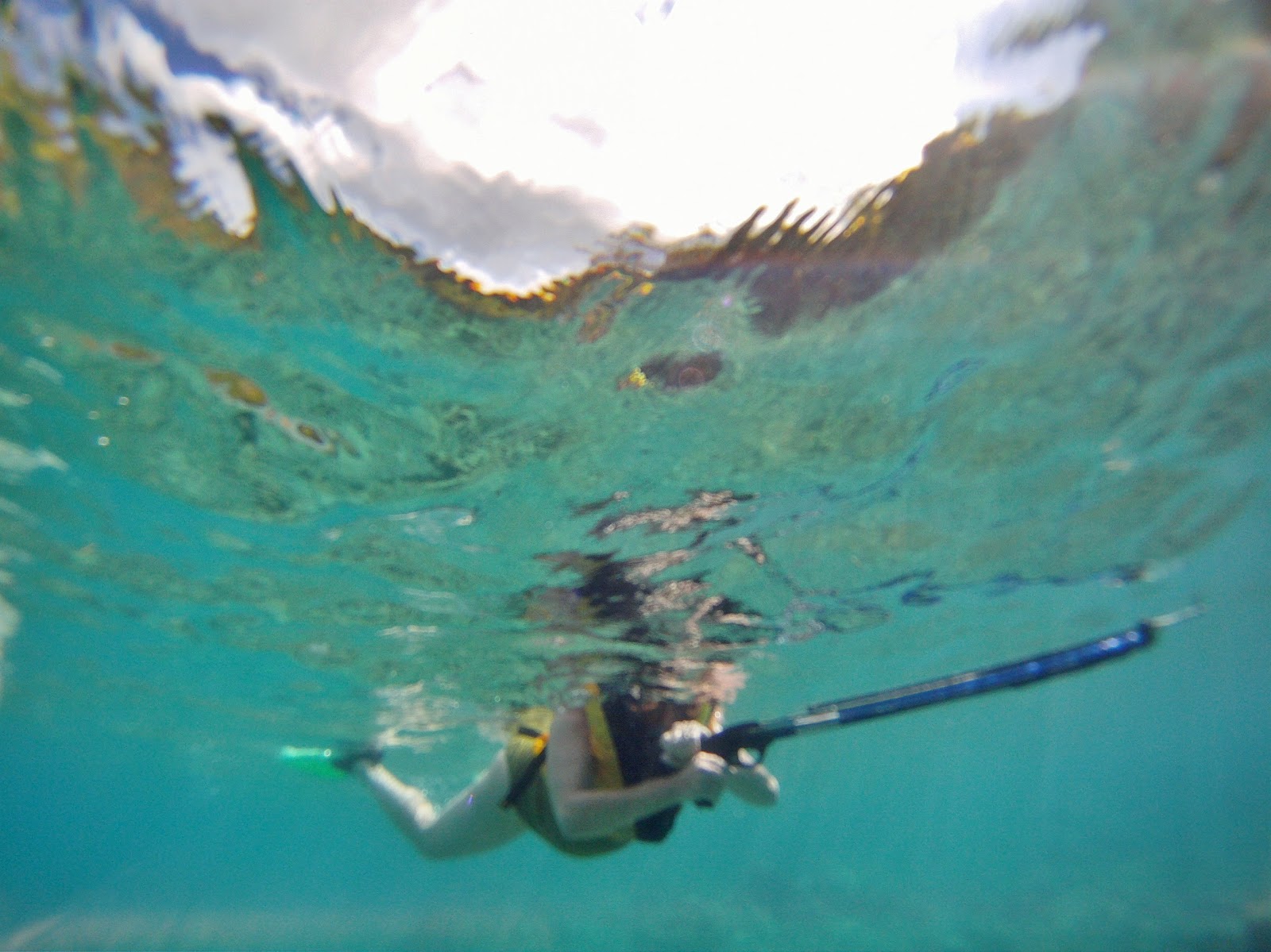 We Live In The Country!: Cruisin' St. Thomas: Spearfishing!
