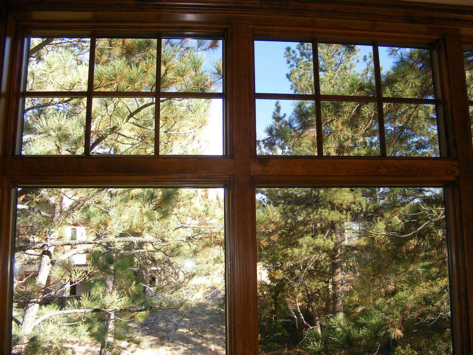 Clear View Window Films: Understanding Sun Damage