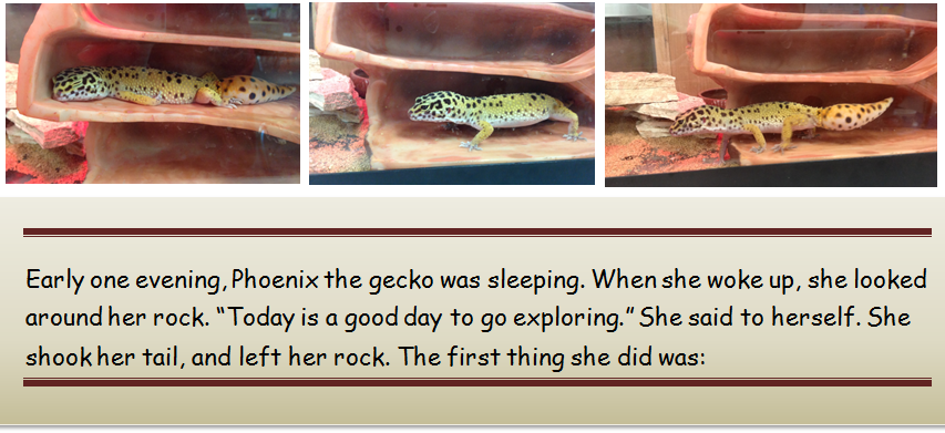 Creative Resources : Leopard Gecko Mini-Unit