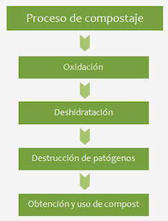 Proyecto Composta: Componentes Básicos para el Compostaje
