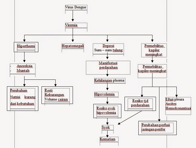 heraheBybayu: ASUHAN KEPERAWATAN PADA KLIEN DENGAN DHF