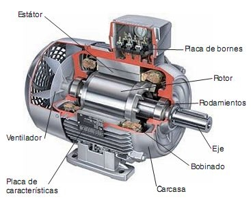 MOTOR ASÍNCRONO TRIFASICO - Automatizacion