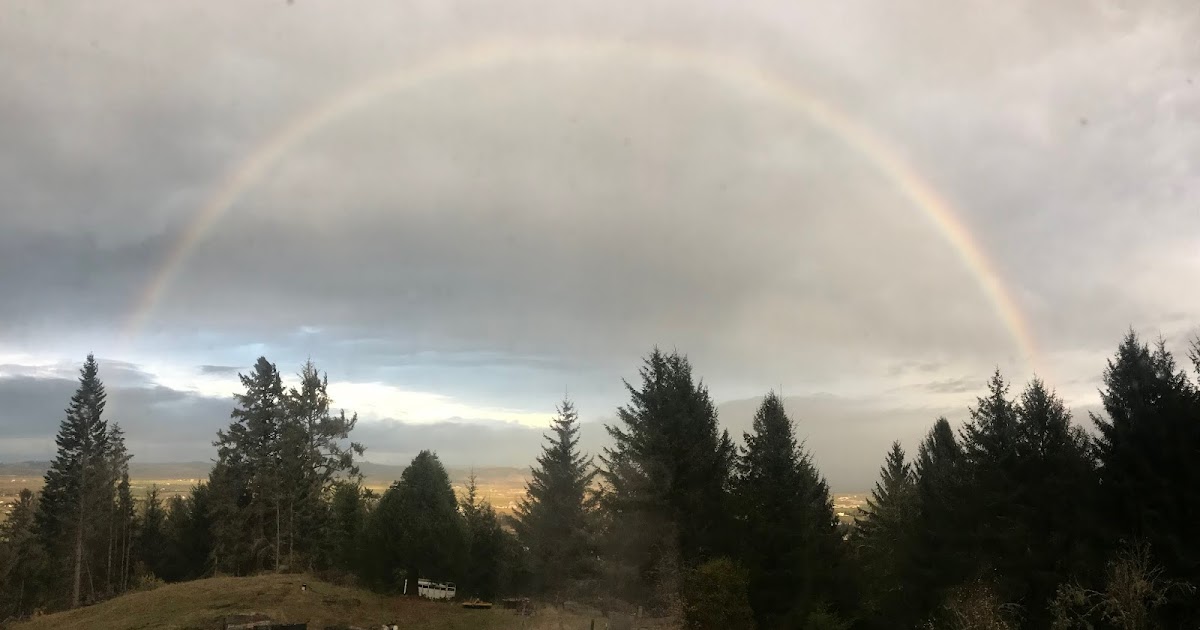 California Dreamin' Squirrel: The Eighth Monthiversary