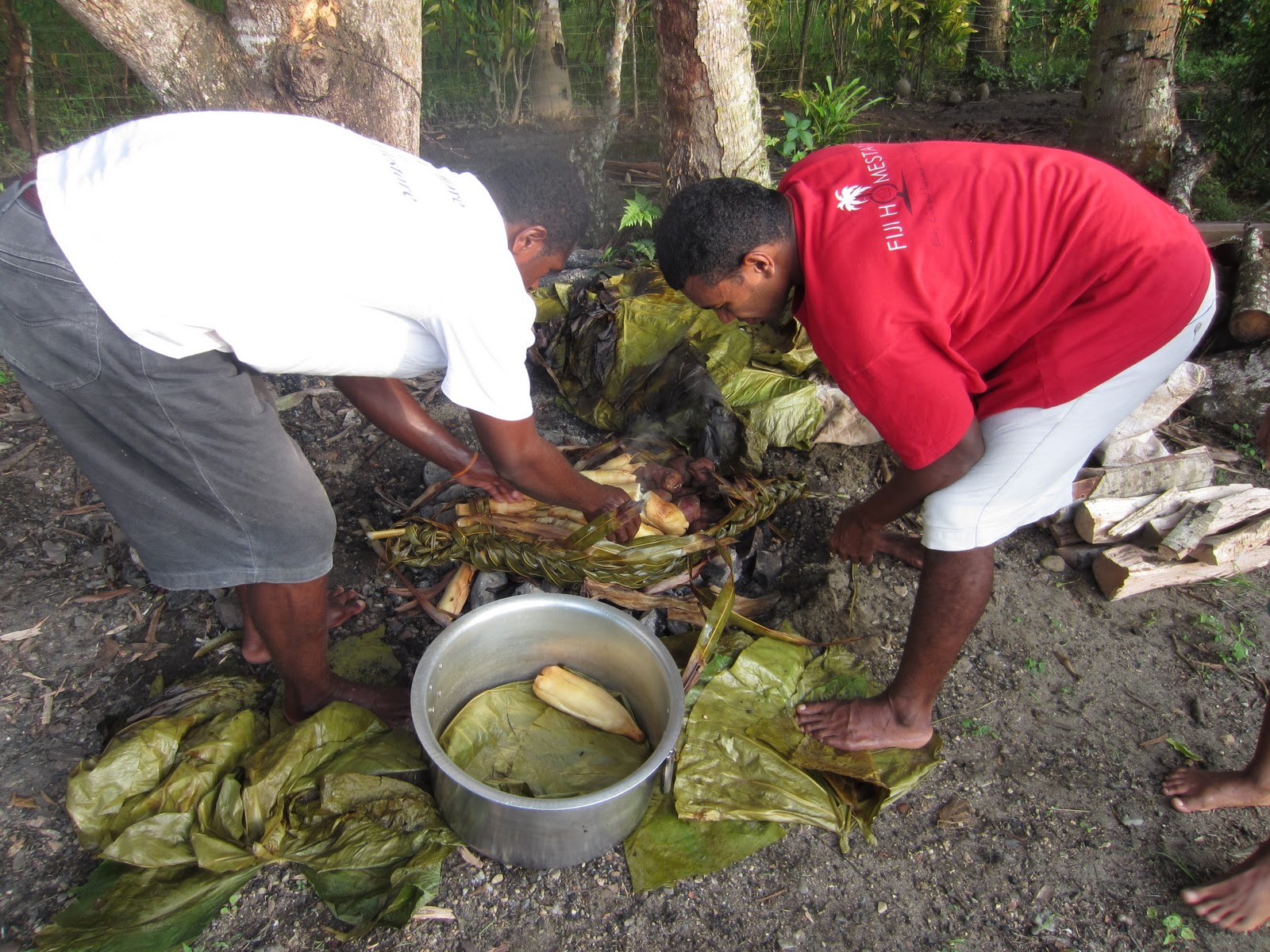 The Adventures of Annie and Her Boys: Namatakula Village Homestay ...
