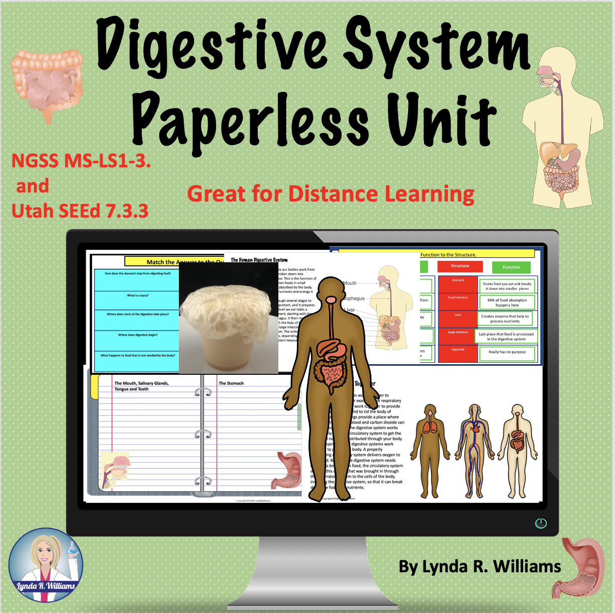 Digestive System Online Unit For Middle School Teaching Science With Lynda R Williams digestive-system-online-unit-for-middle-school-teaching-science-with-lynda-r-williams