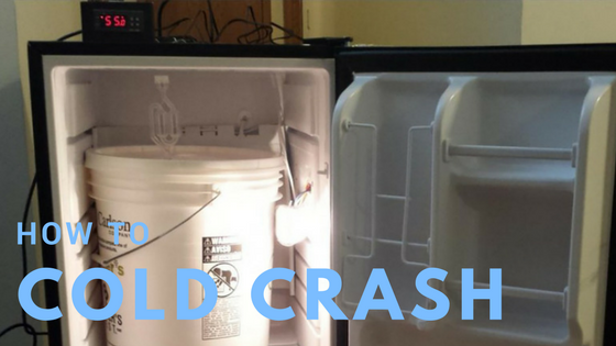 ↠ How to 'cold crash' home brew beer | How to Home Brew Beer