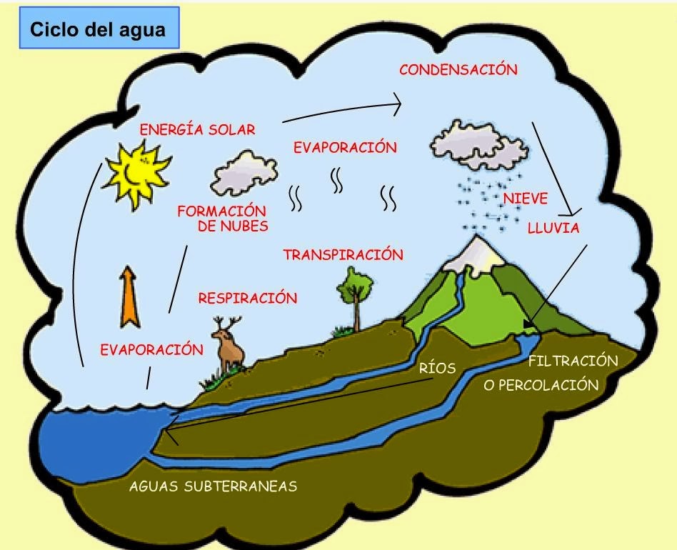 Ciclos Biogeoquímicos