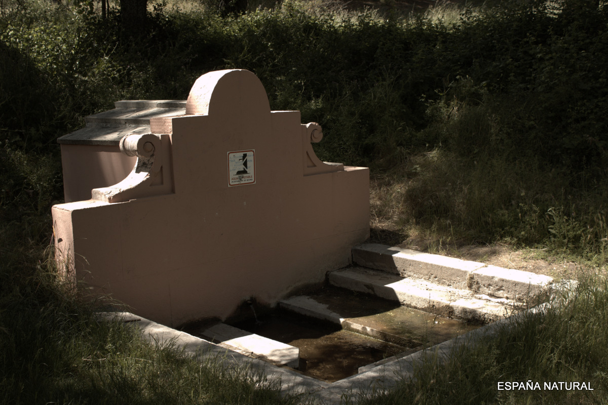 ESPAÑA NATURAL: PUERTA DEL ZARZON-PUENTE DEL REY (CASA DE CAMPO-MADRID)