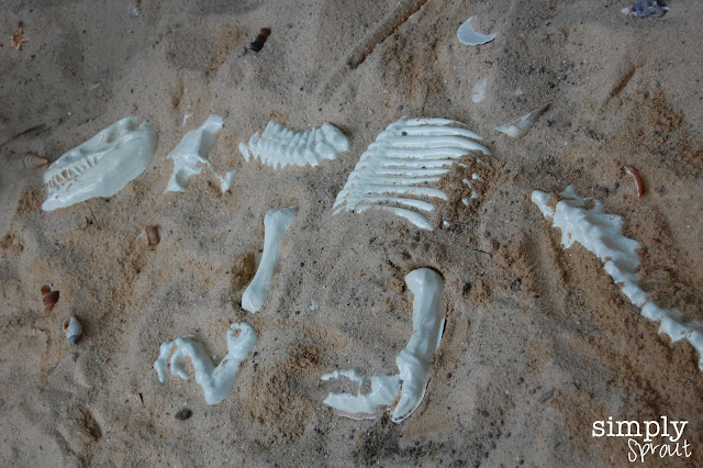 It's an Ice Age Dino Dig - Simply Sprout