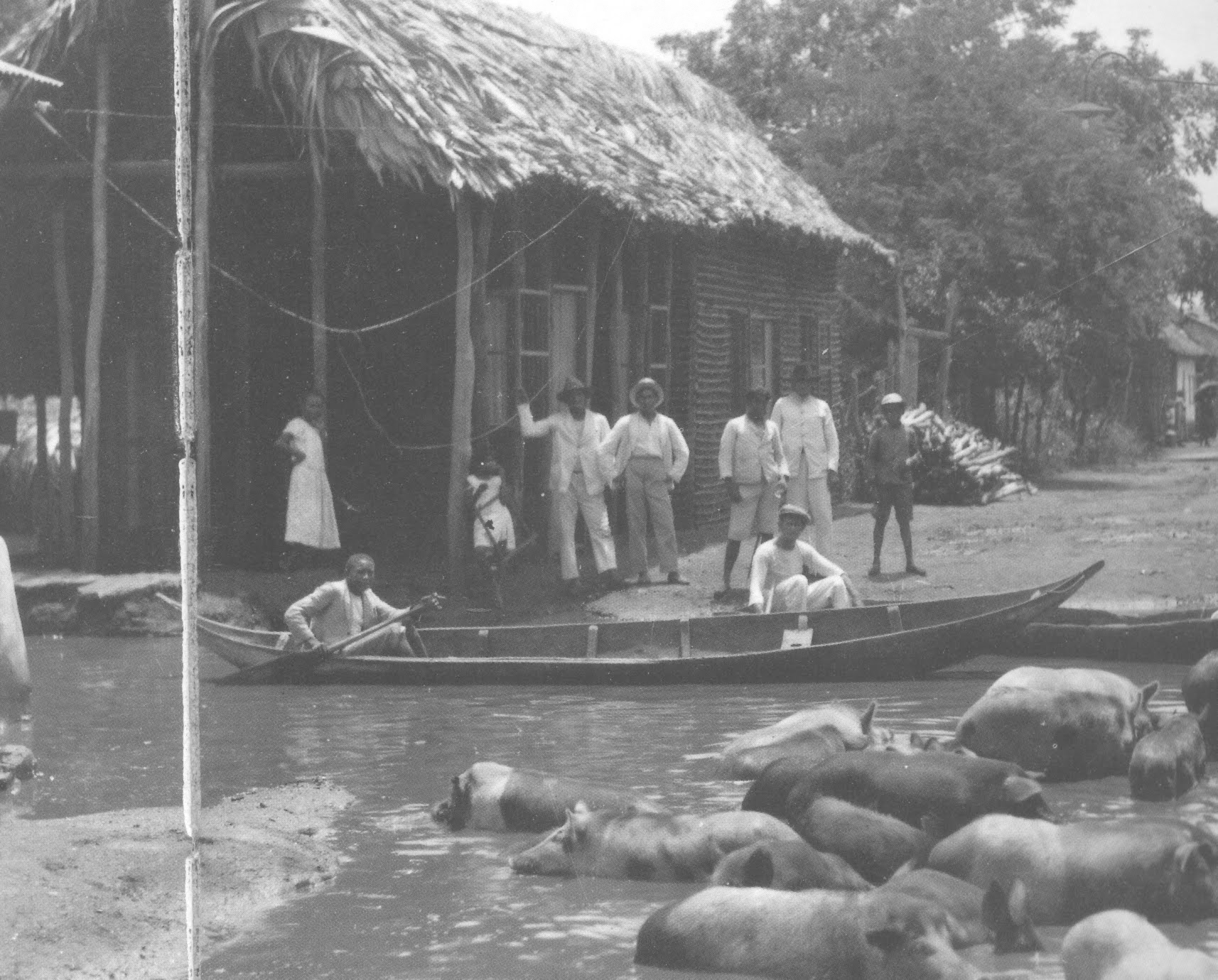 Crónicas Angostureñas / Américo Fernández: PERRO SECO
