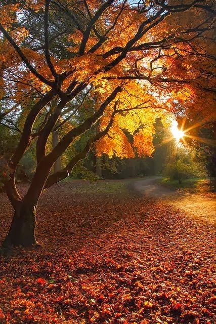 10 amazing autumn photographs - beautiful time of the year