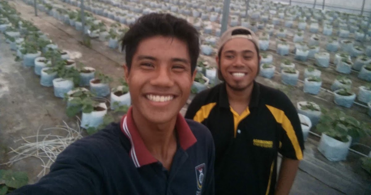 SYABIL AFIQ: TKPM Sendayan