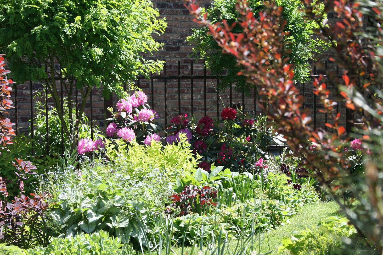 Rhododendron Archives - Garden Stories