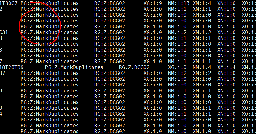 NGS tips: Picard MarkDuplicates - whole bam file marked as duplicates?