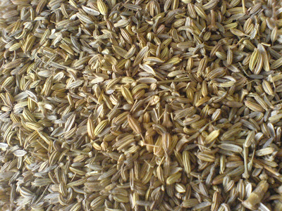 8 KHASIAT JINTAN MANIS YANG RAMAI TAK TAHU SEBENARNYA