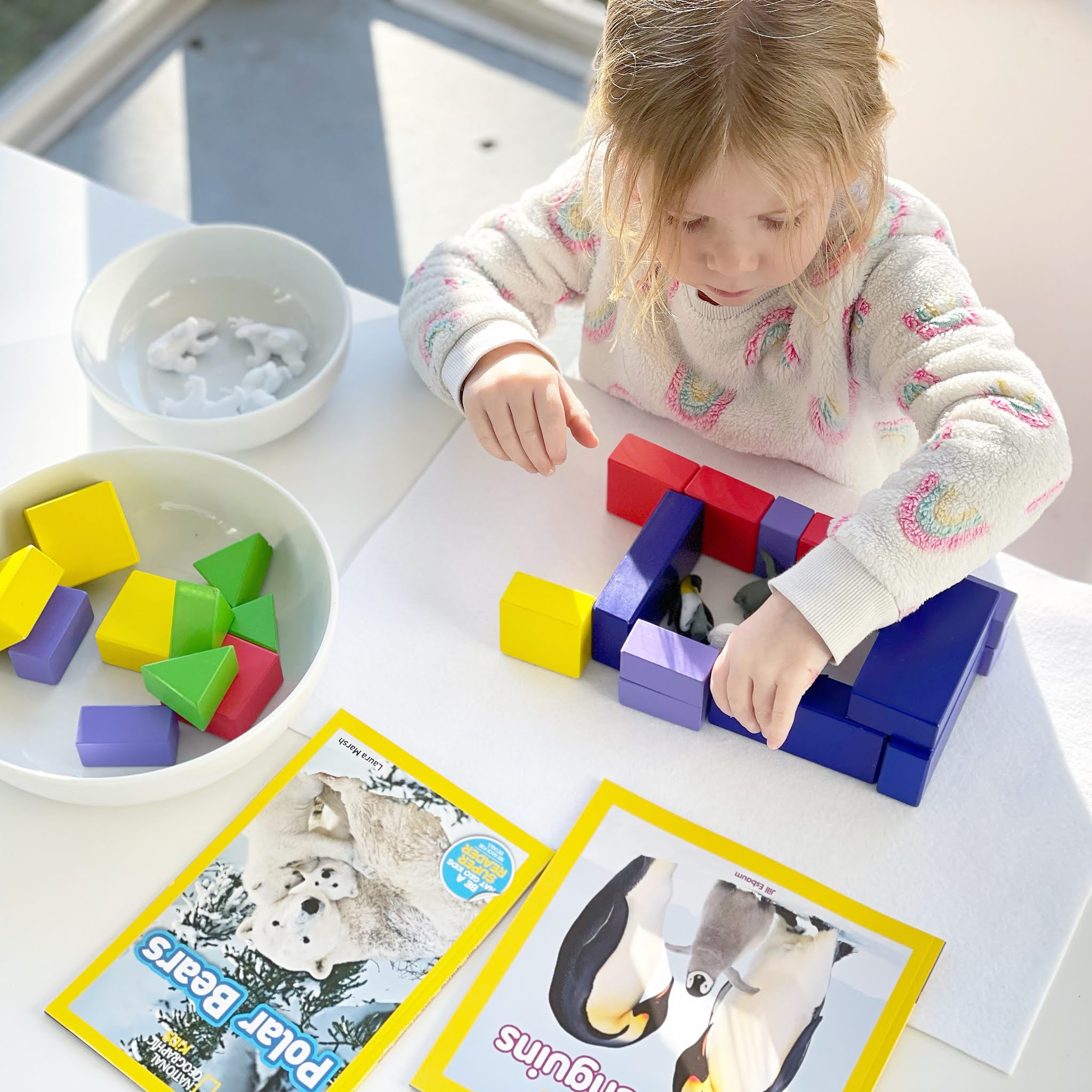 Find the Little Mind: Invitation to Build a Block Habitat