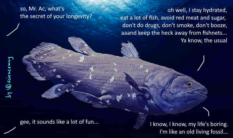 sciencemug sip science & laugh: THE TRUE REASON WHY COELACANTHS CAN ...