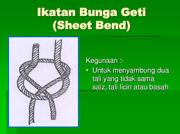 SEHARUM KASIH: IKATAN BUNGA GETI PENGAKAP
