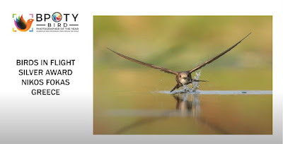 Nikos Fokas Photopraphy Blog