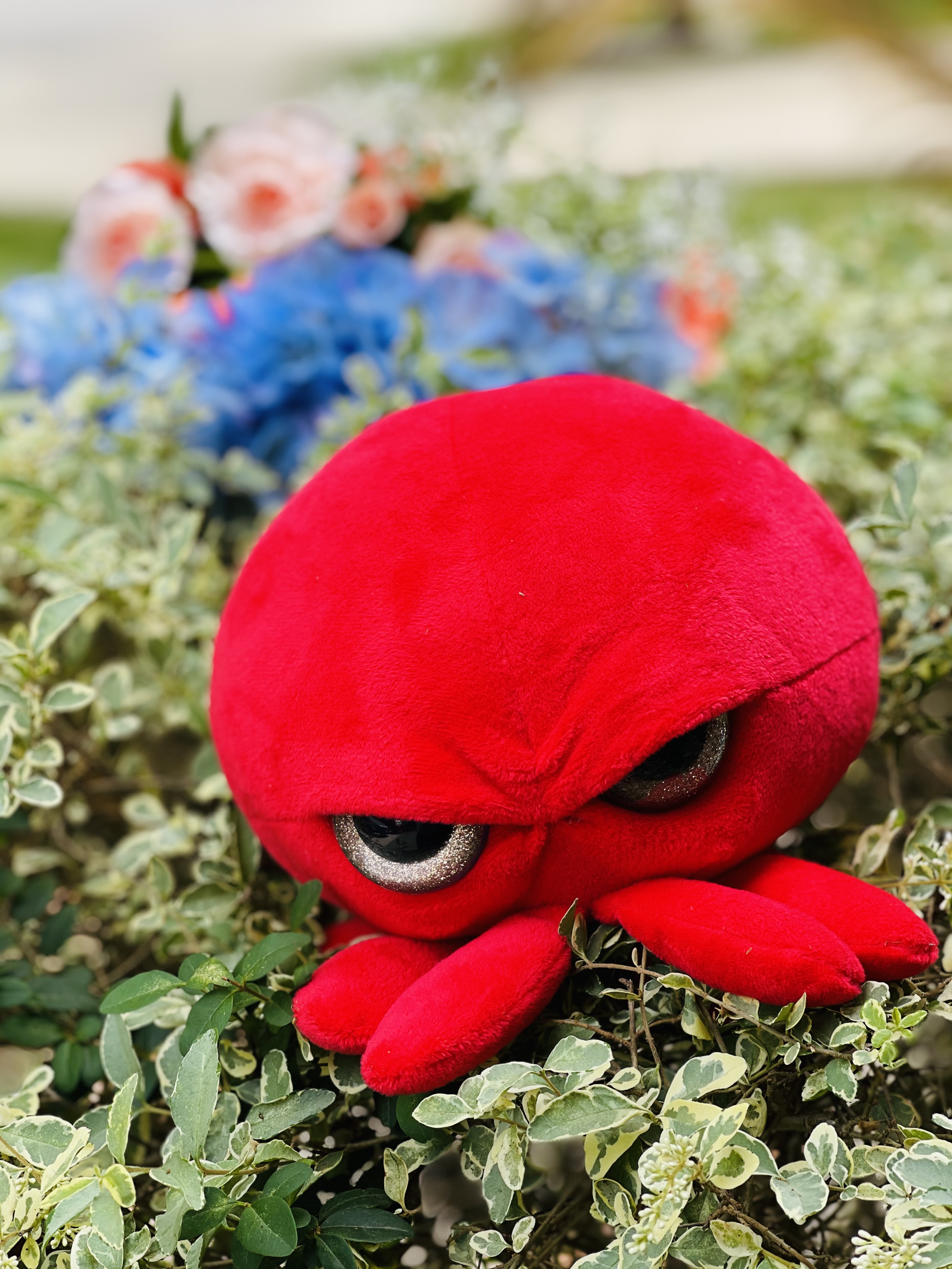 Airing My Laundry, One Post At A Time...: Why The Grumpy Octopus Is ...