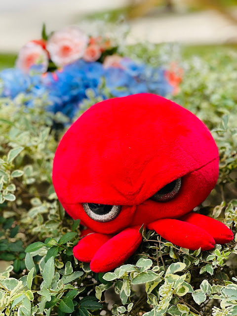 Airing My Laundry, One Post At A Time...: Why The Grumpy Octopus Is ...