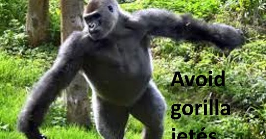 Gorilla%2BJetes.jpg