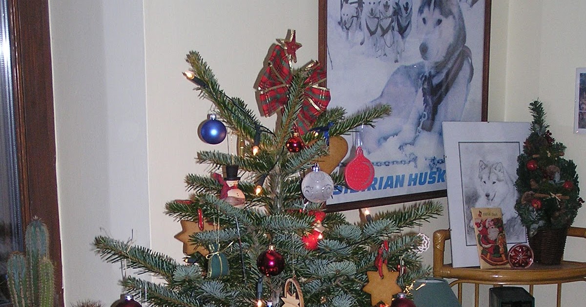 Katerina's Journal: The Christmas Tree Thing: The 6 Phases Of My ...