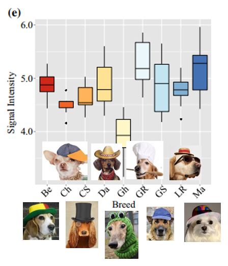 News in Proteomics Research: UHPLC-LCMS lipidomics of dog plasma can ...